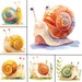 Watercolor Snail Clipart: Nursery Illustration (PNG & SVG Digital ...