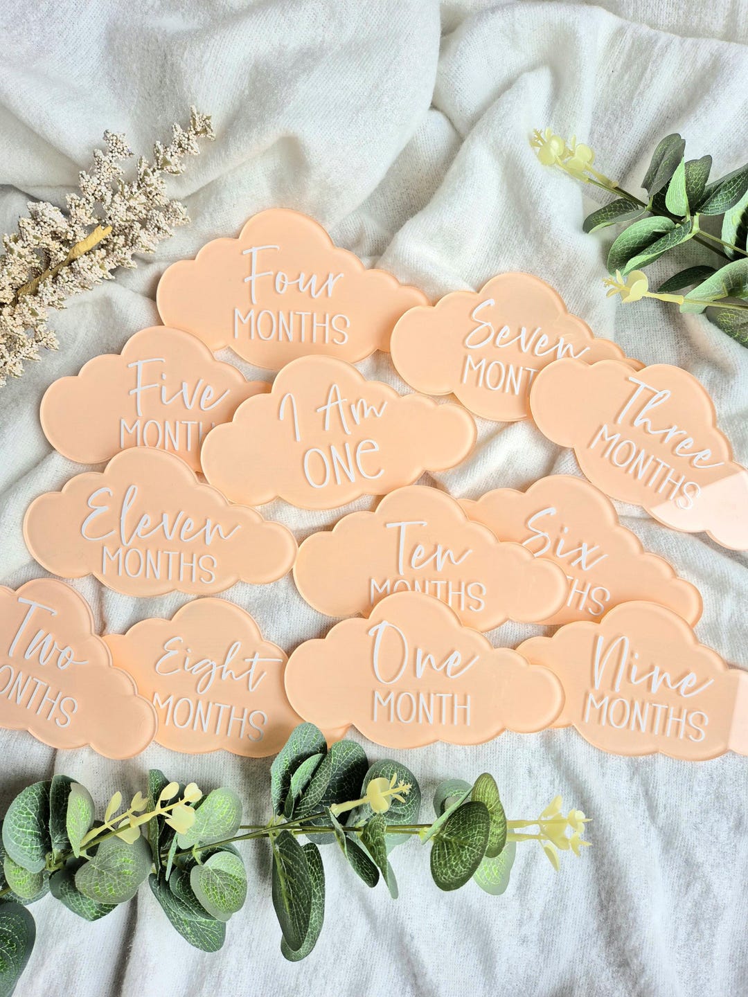 Baby Milestone Discs, Acrylic Cloud, Photo Props, New Baby ...