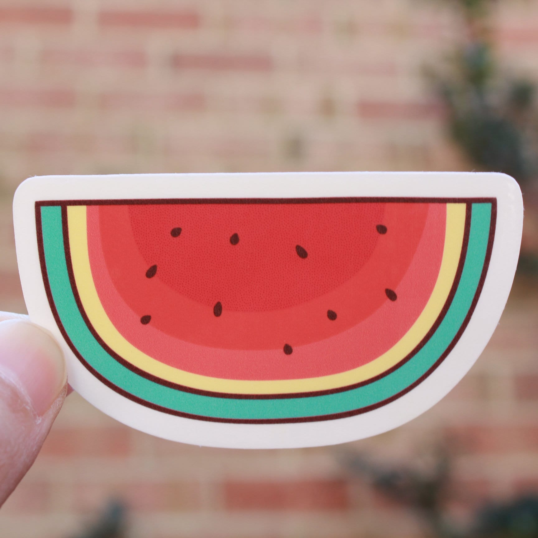 Watermelon Die Cut Weatherproof Sticker Tumbler Stickers | Etsy