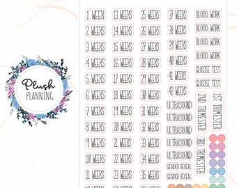 Weekly Pregnancy Stickers - Etsy