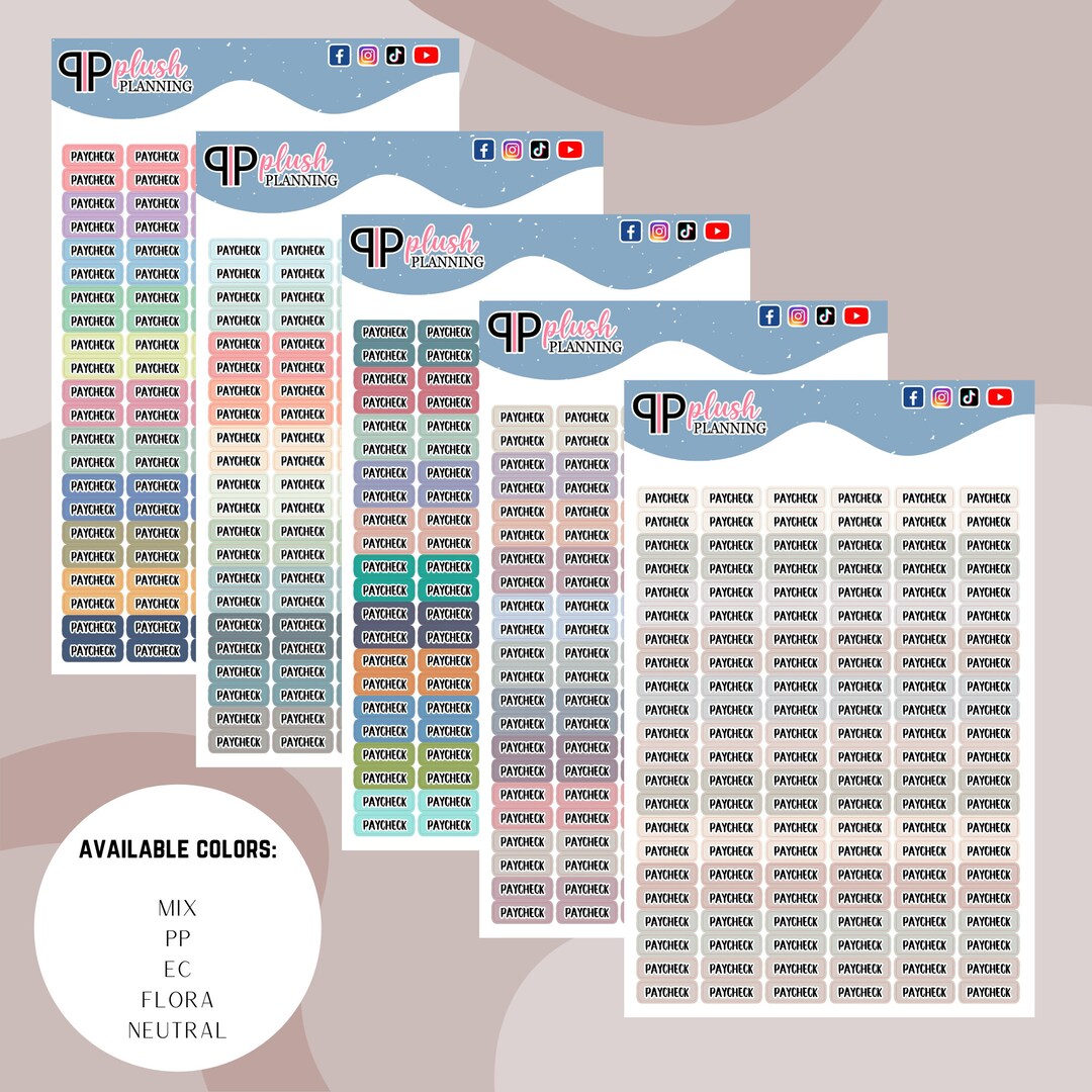 Mini Paycheck Planner Stickers, Functional Planner Stickers, Paycheck ...