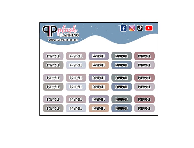 Mini Payroll Planner Stickers, Functional Labels - Etsy