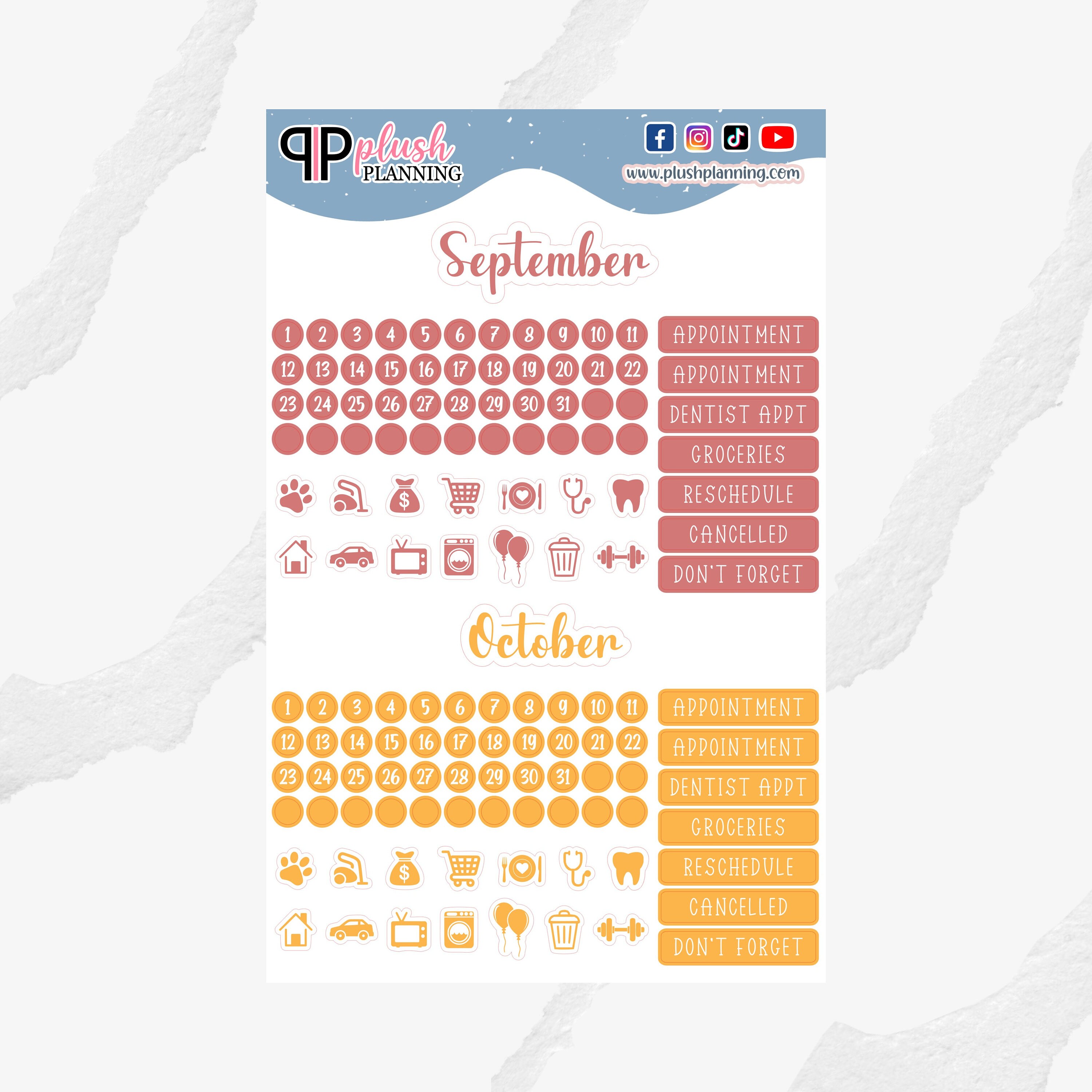 Monthly Calendar Essentials Planner Stickers Month to Month - Etsy