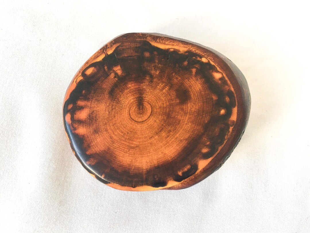 Vintage Handcrafted Willow Tree Bark Belt Buckle, Vintage Western Belt ...