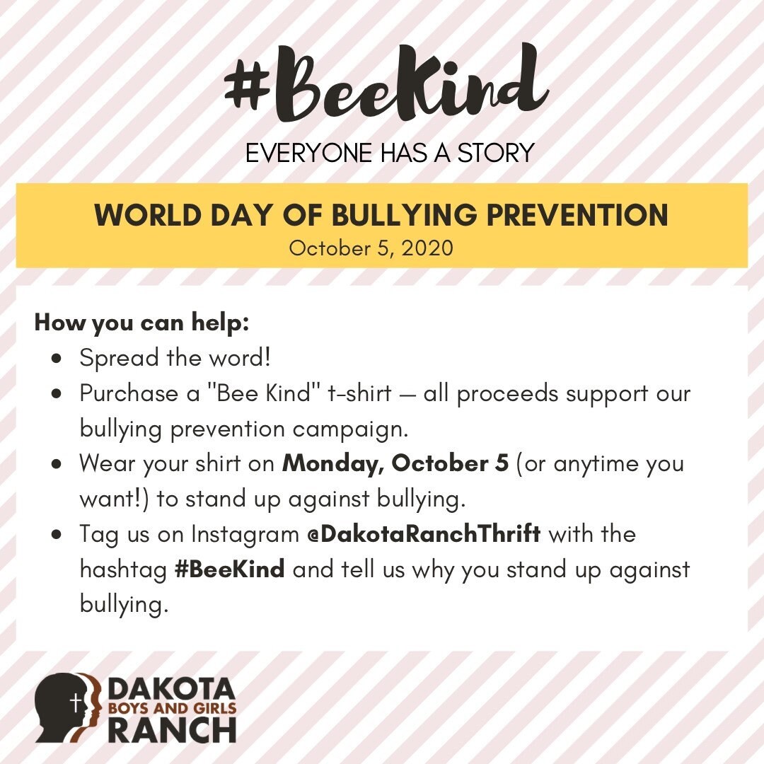 The Bee Kind Tee Bullying Prevention Campaign Dakota Boys | Etsy