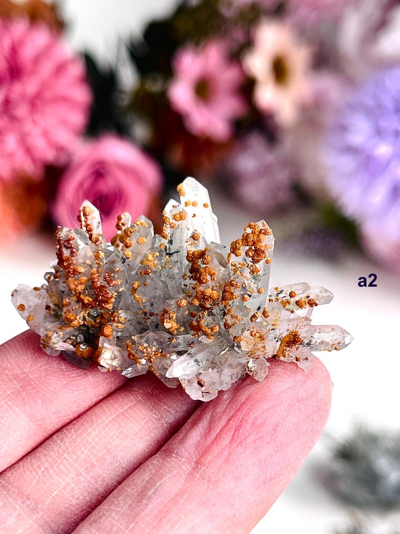 Quartz With Rhodochrosite Mineral Specimen, Laki Bulgaria - Etsy