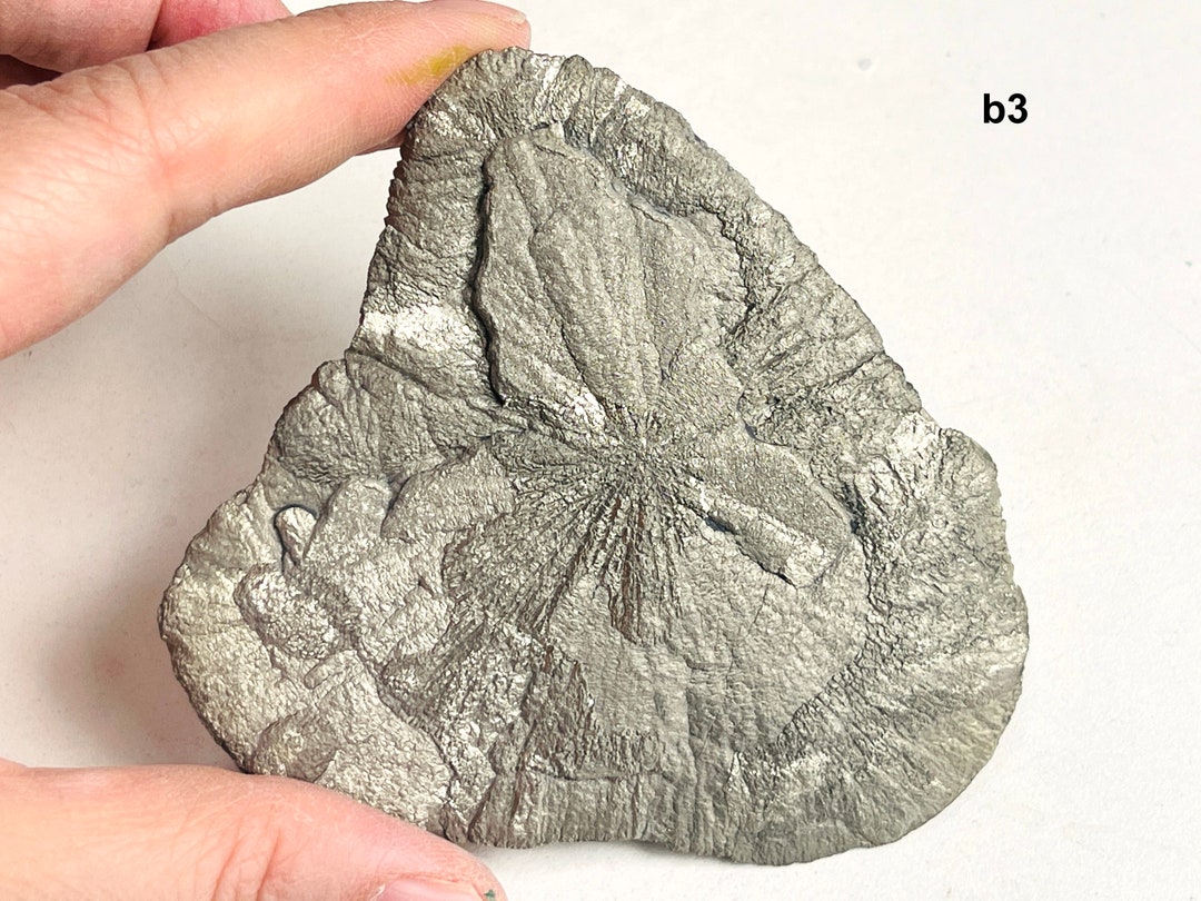 Pyrite Sun - Gateway Mine, Sparta, Illinois , Aesthetic Pyrite Sun Disc ...