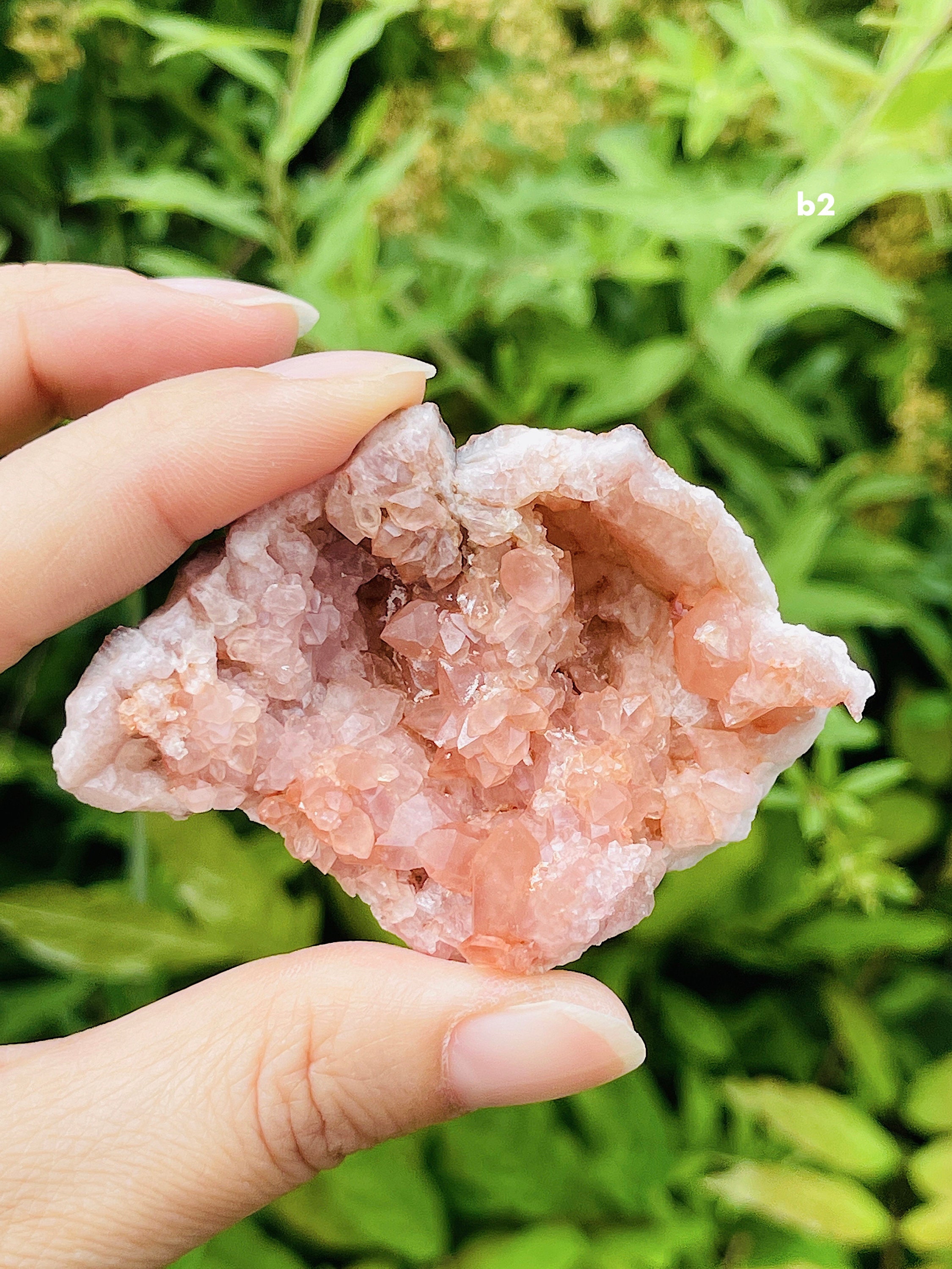 Pink Amethyst High Quality Pink Amethyst Geode from | Etsy