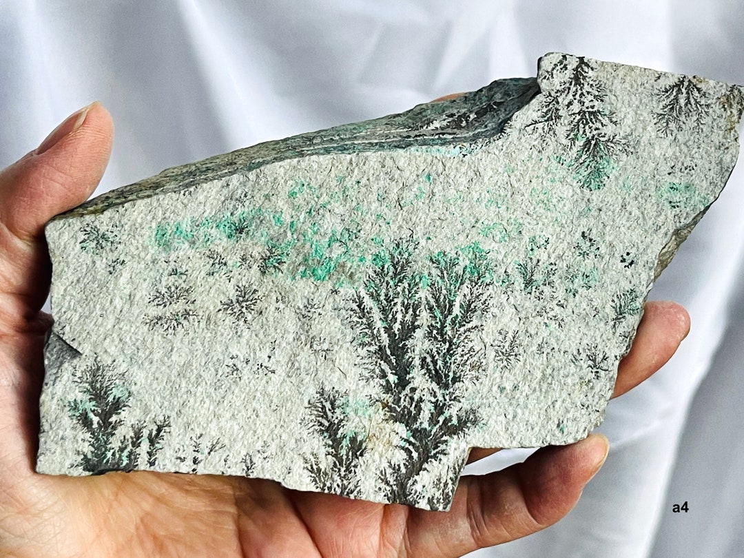 Dendrite Crystal in Limestone Resembling Tree-like Form, Natures ...