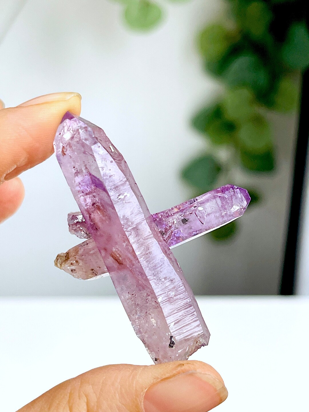 Vera Cruz Amethyst Cluster, High Quality Vera Cruz Amethyst Specimen ...
