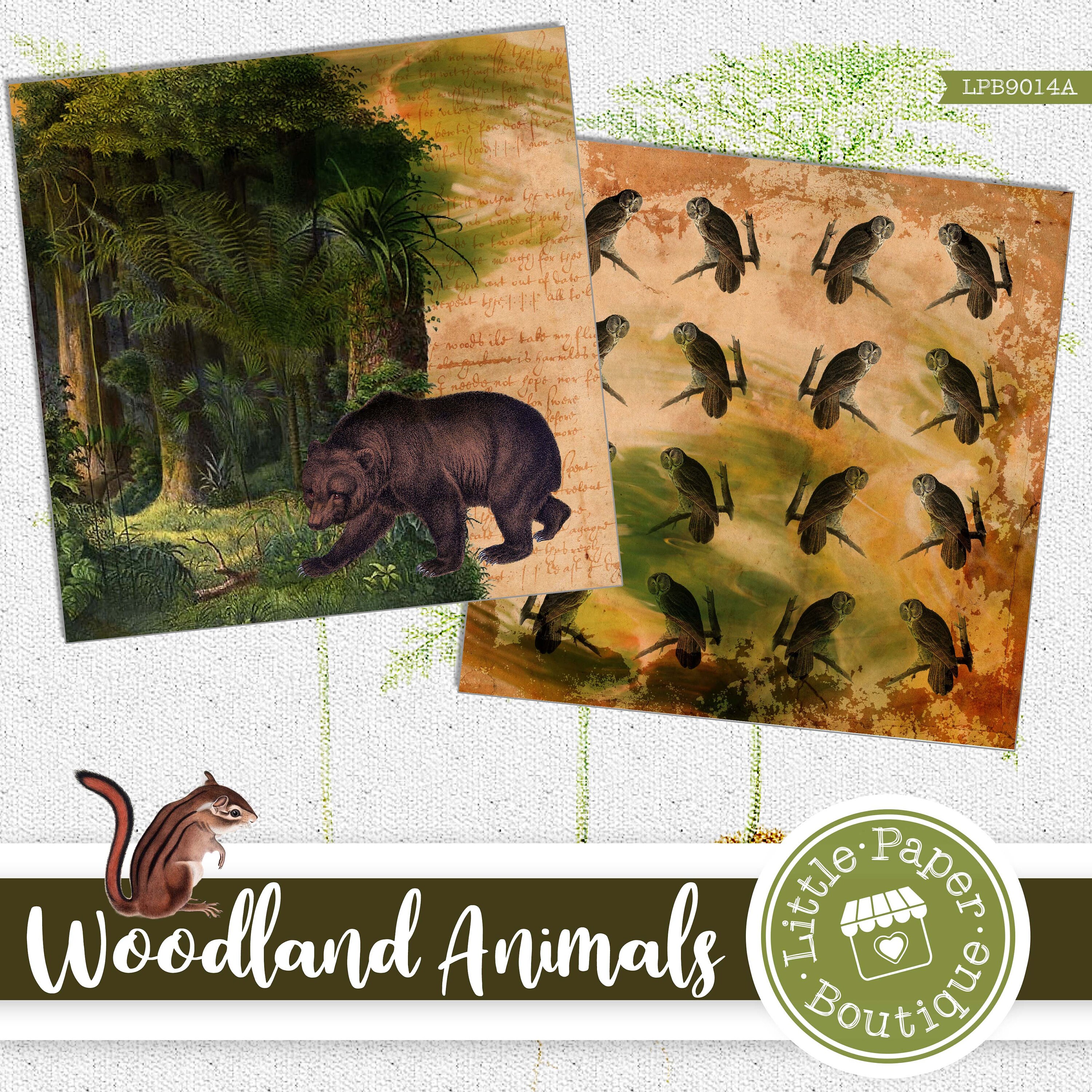 Woodland Animal Digital Paper Printable Forest Papers - Etsy