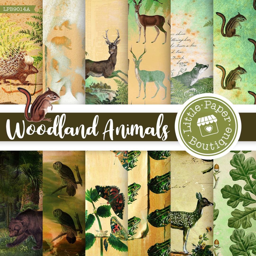 Woodland Animal Digital Paper Printable Forest Papers Woodlands ...