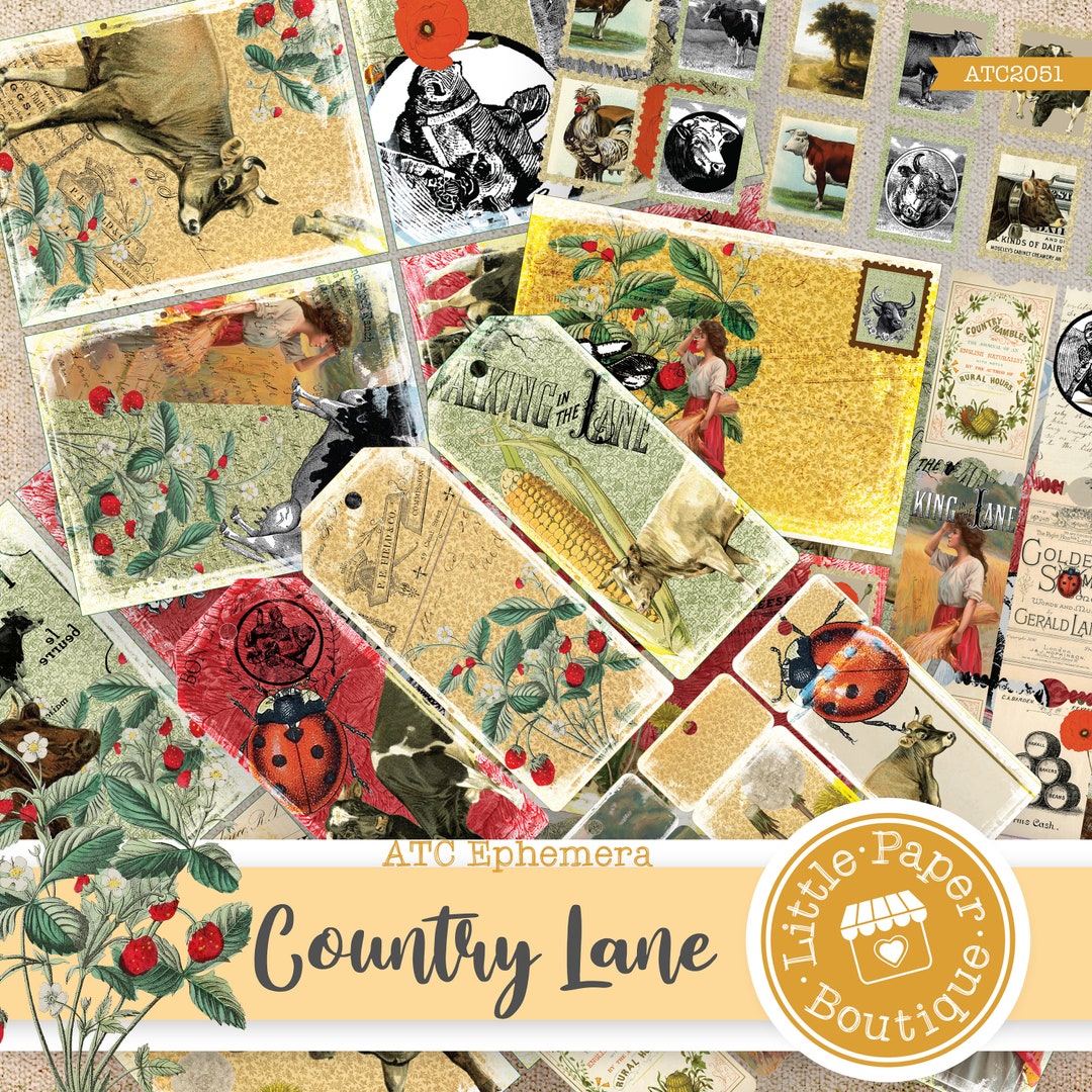 Woodland Animal Printable Forest Papers Woodlands Backgrounds Nature ...