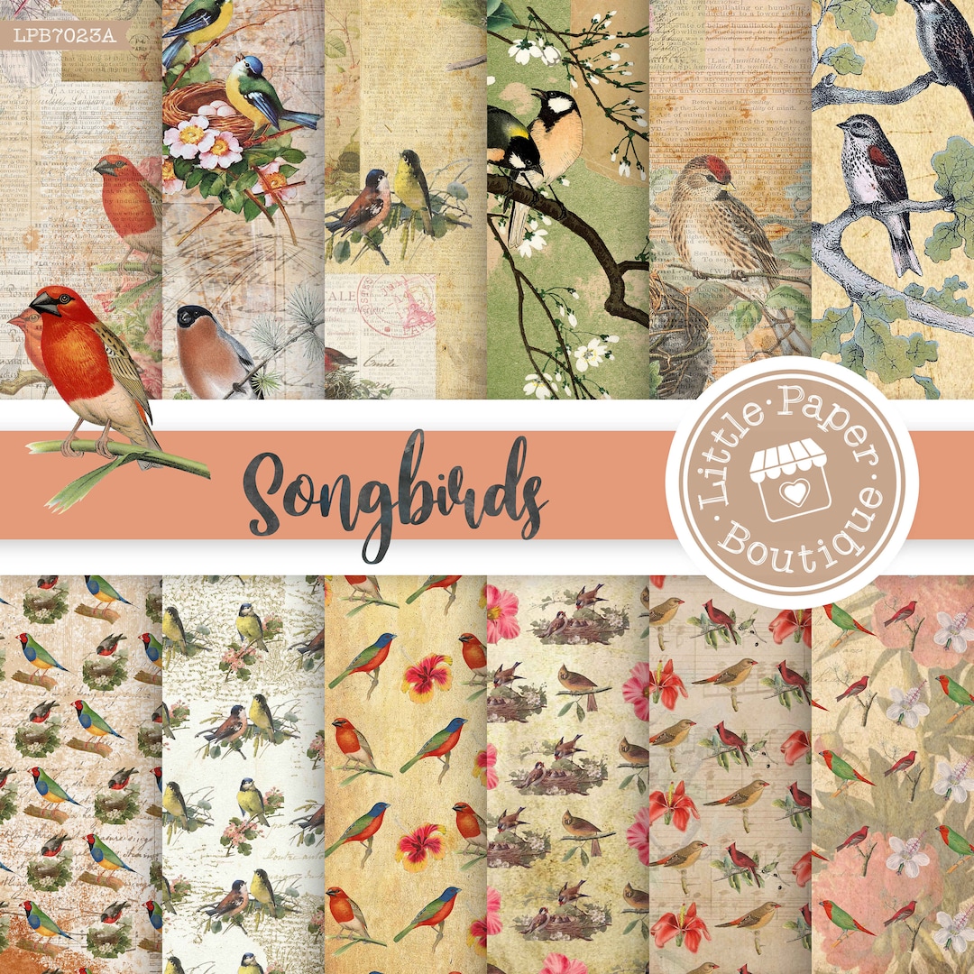 Gold Songbird Digital Paper, Vintage Scrapbook, Antique Sheet Music ...