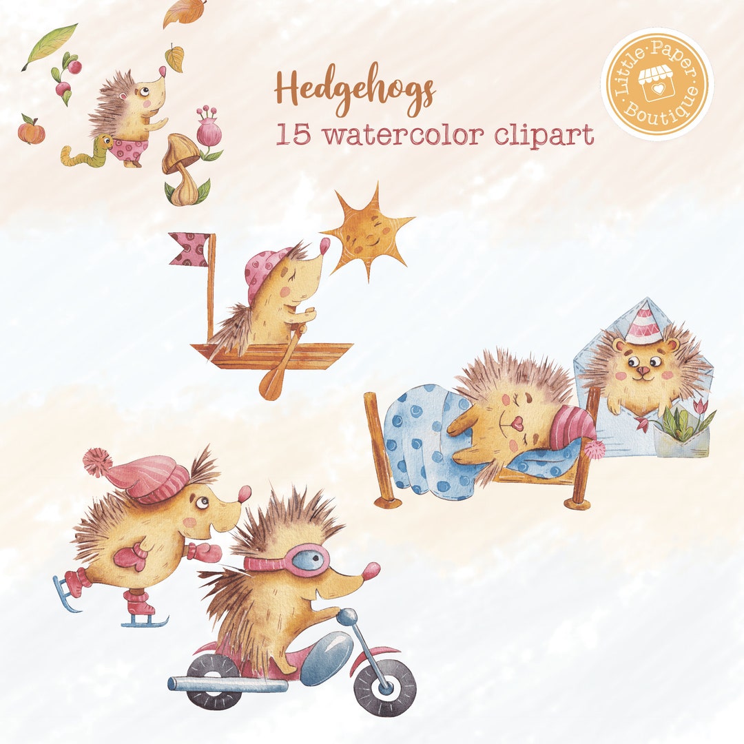 Watercolor Hedgehogs Clipart | Baby Forest Animals - Woodland Hedgehog ...
