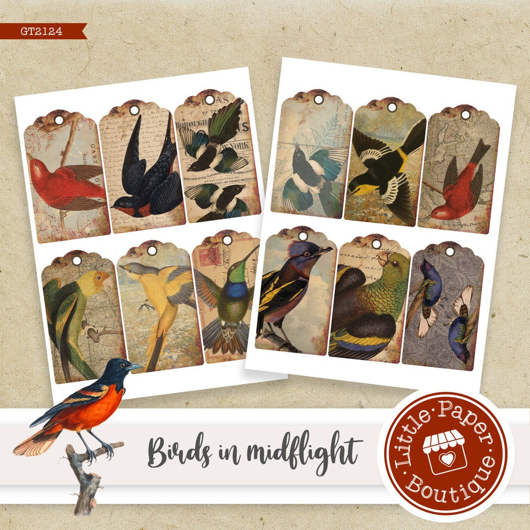 Vintage Birds Aviary Digital Paper, Vintage Scrapbook, Antique Sheet ...