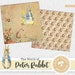 Peter Rabbit Paper Pack, Beatrix Potter, Digital Paper, Printable Paper ...
