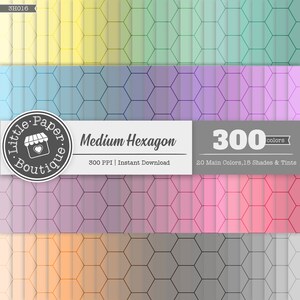 100 Colored Honeycomb Digital Paper Rainbow Hexagon Digital Paper Queen ...
