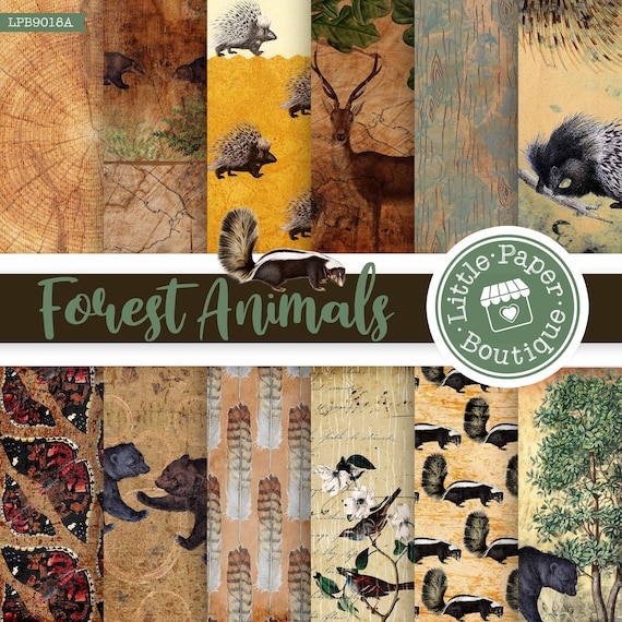 Nature Animals Trees Digital