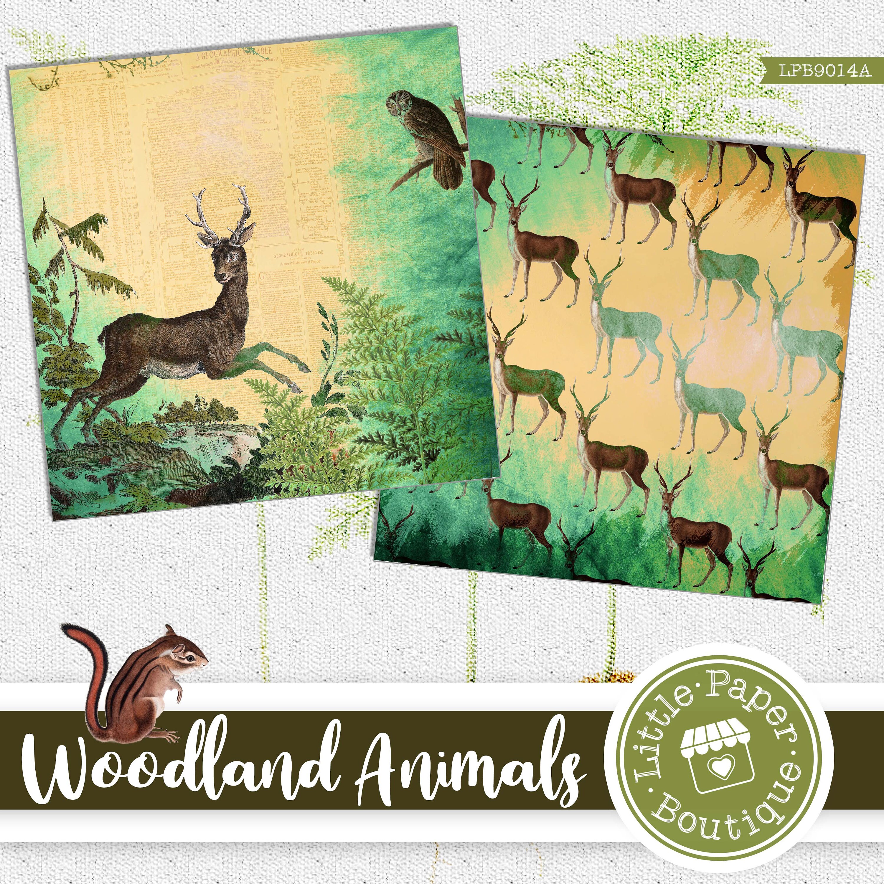 Woodland Animal Digital Paper Printable Forest Papers Woodlands ...