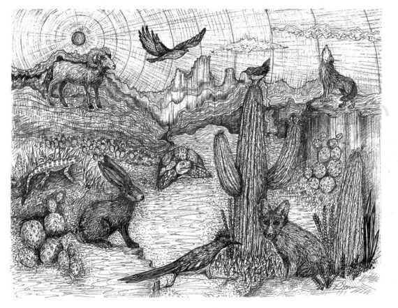 Desert Pen Drawings