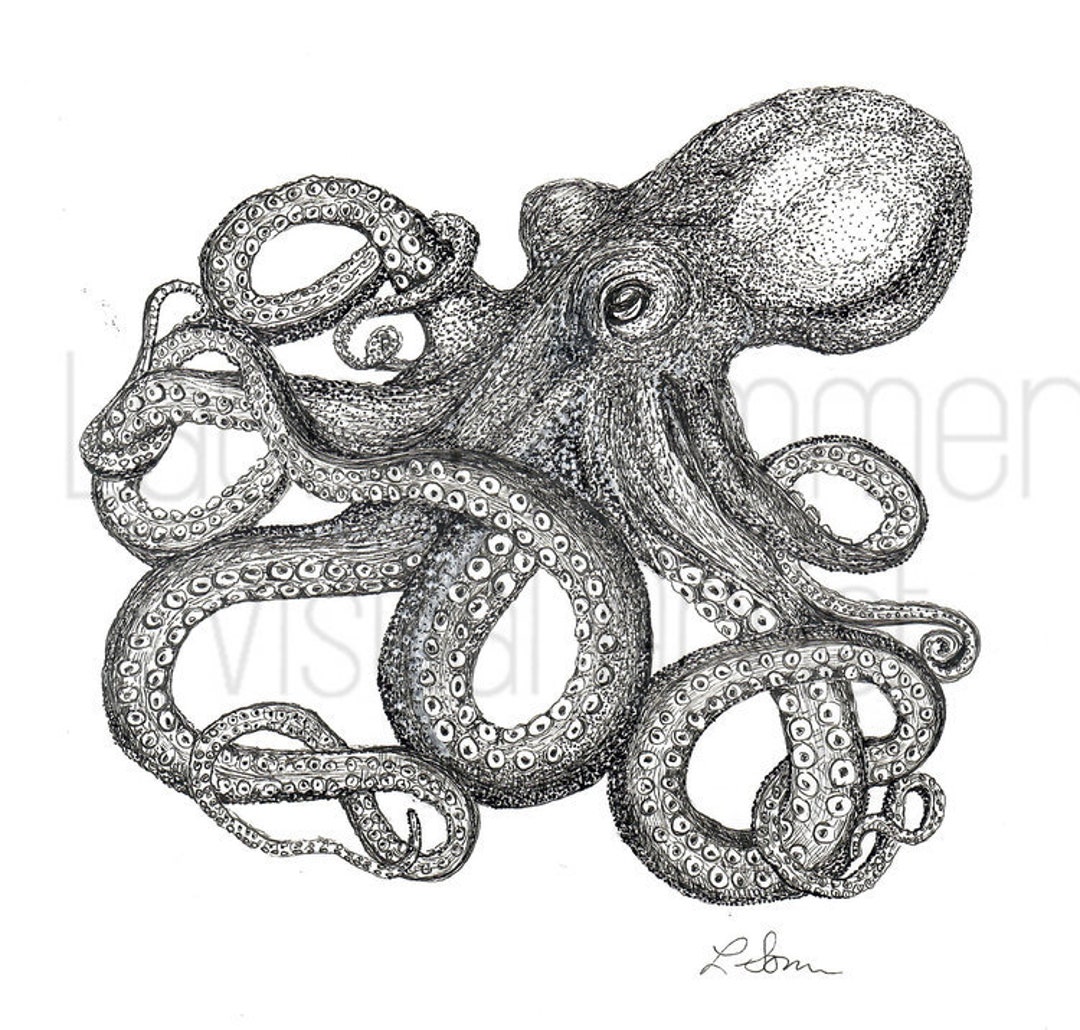 How To Draw A Realistic Octopus