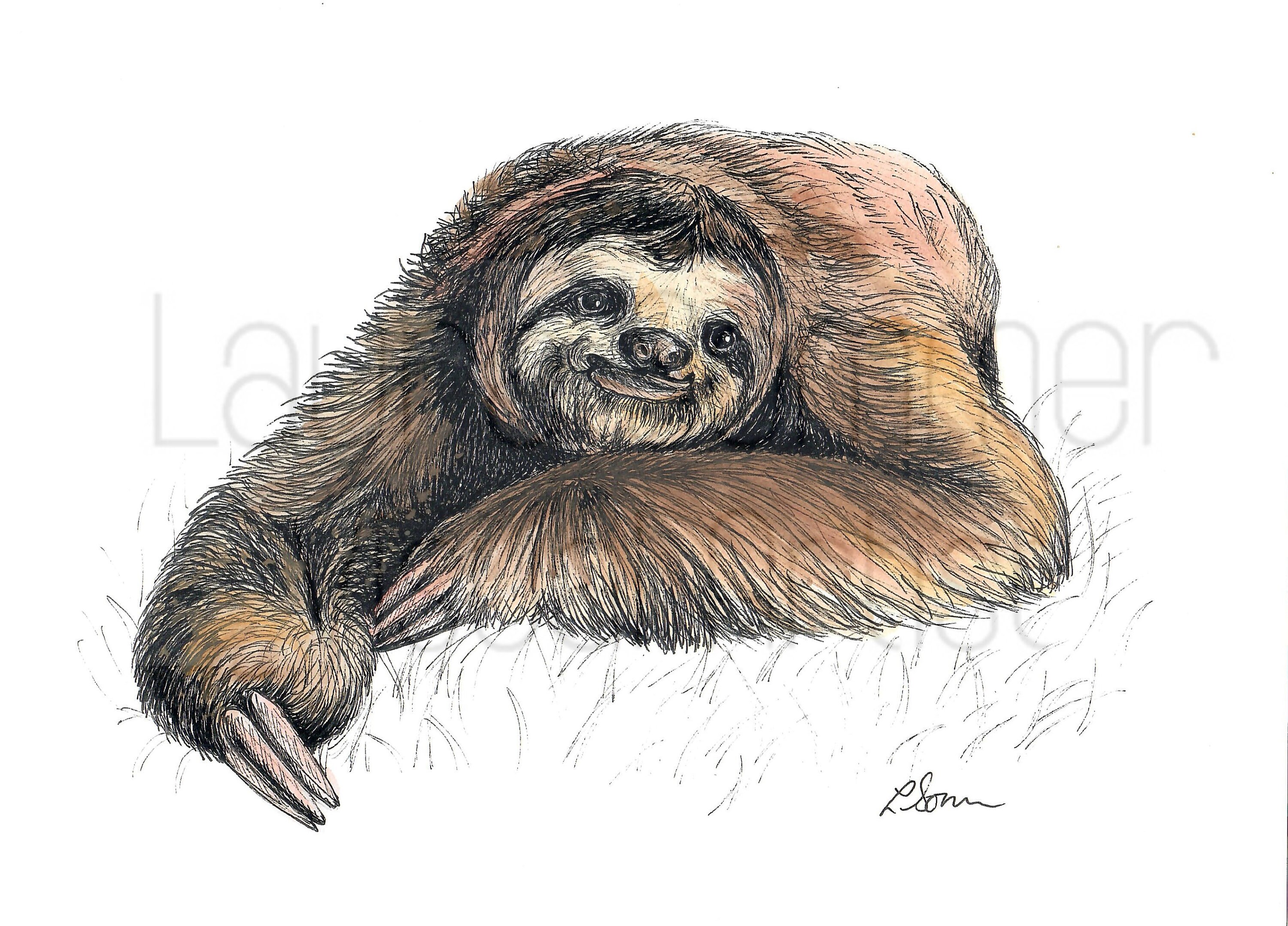 Sloth Illustration in Water-color and Black Pen - Digital Download - Etsy