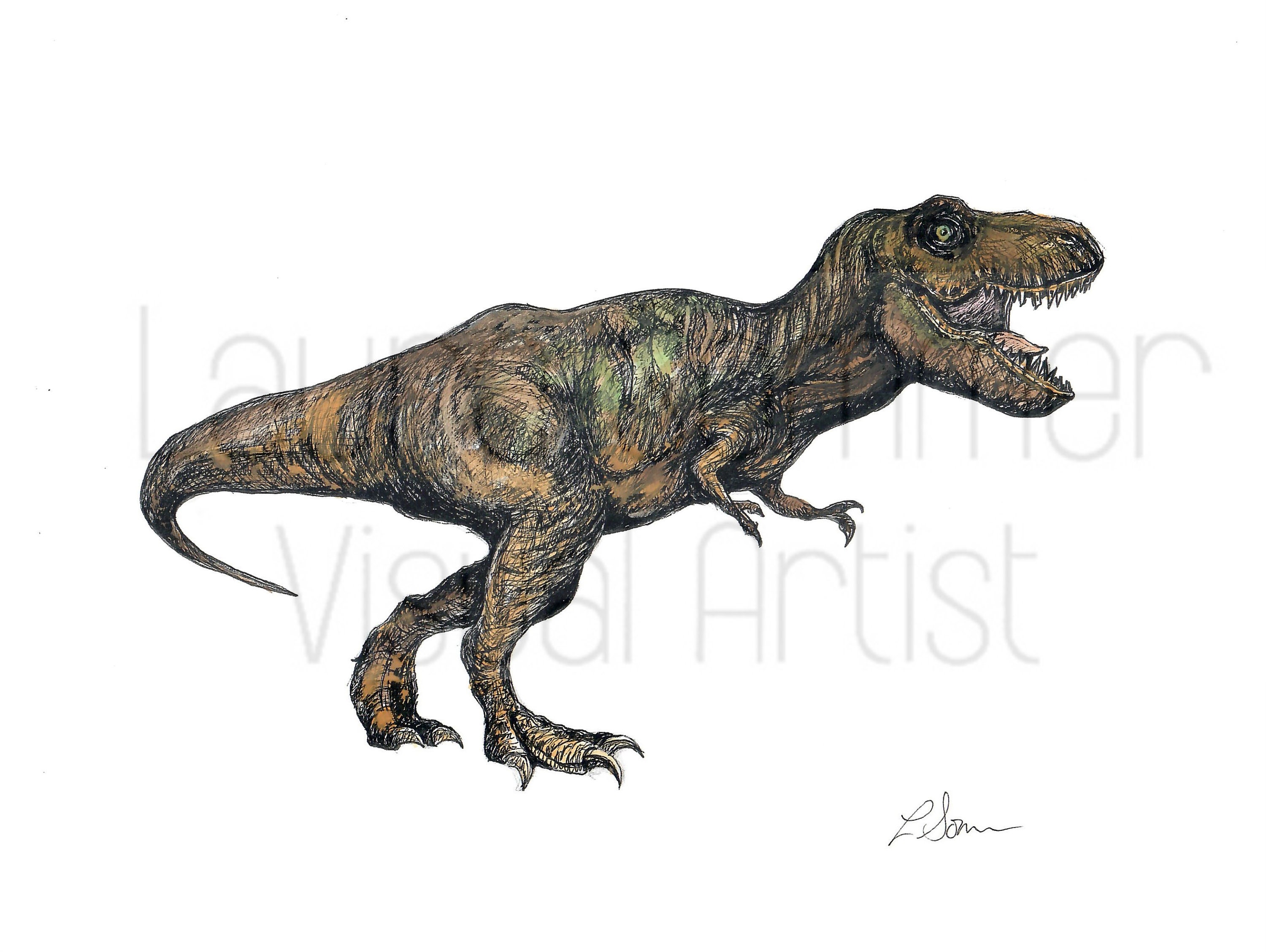 Tyrannosaurus Rex Pictures To Color