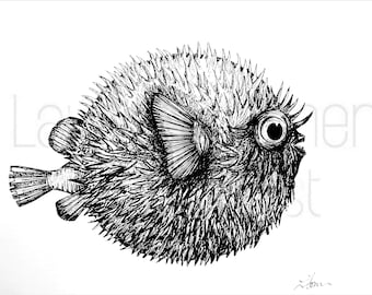 How To Draw A Realistic Puffer Fish