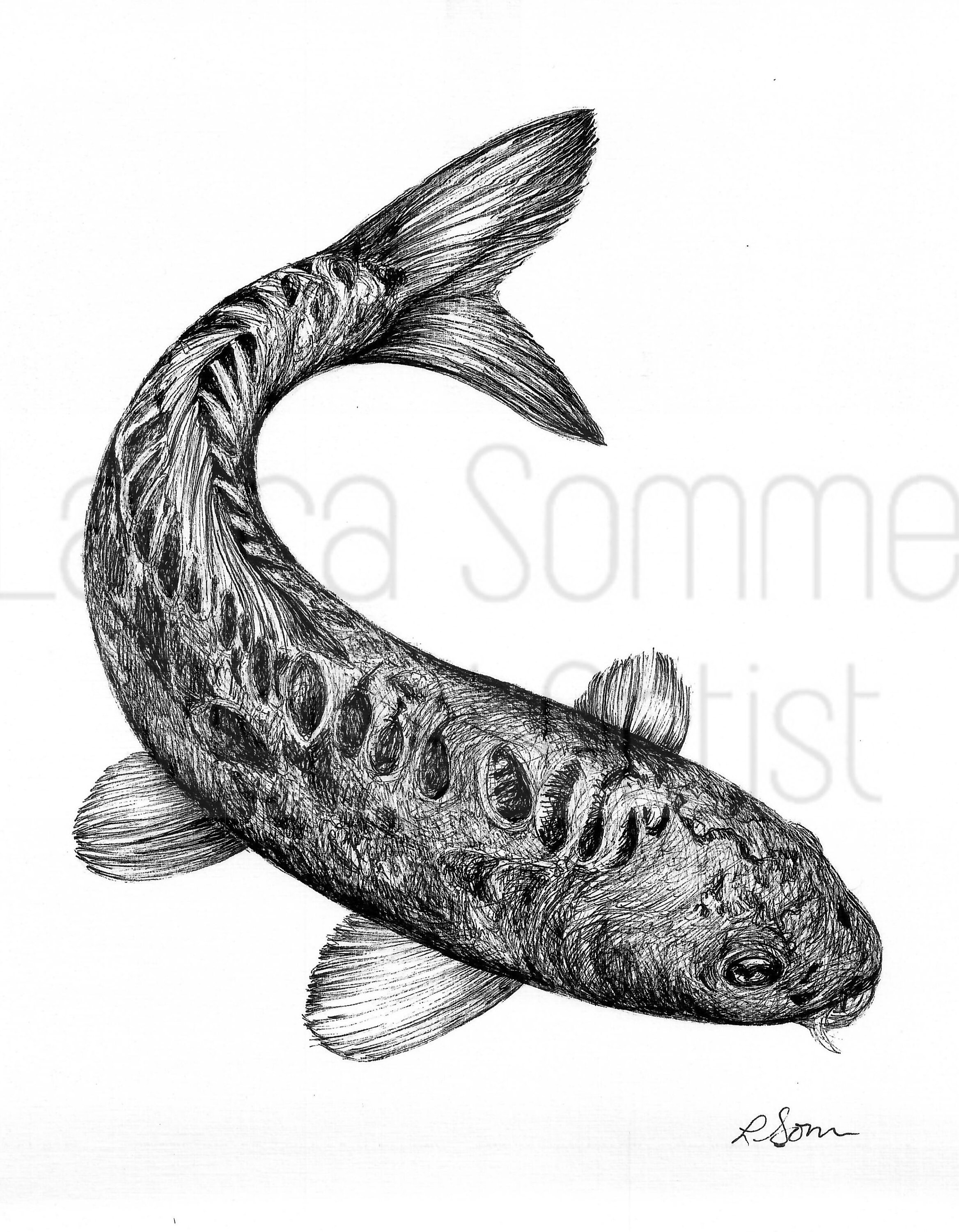 Detailed Black And White Koi Fish Drawings