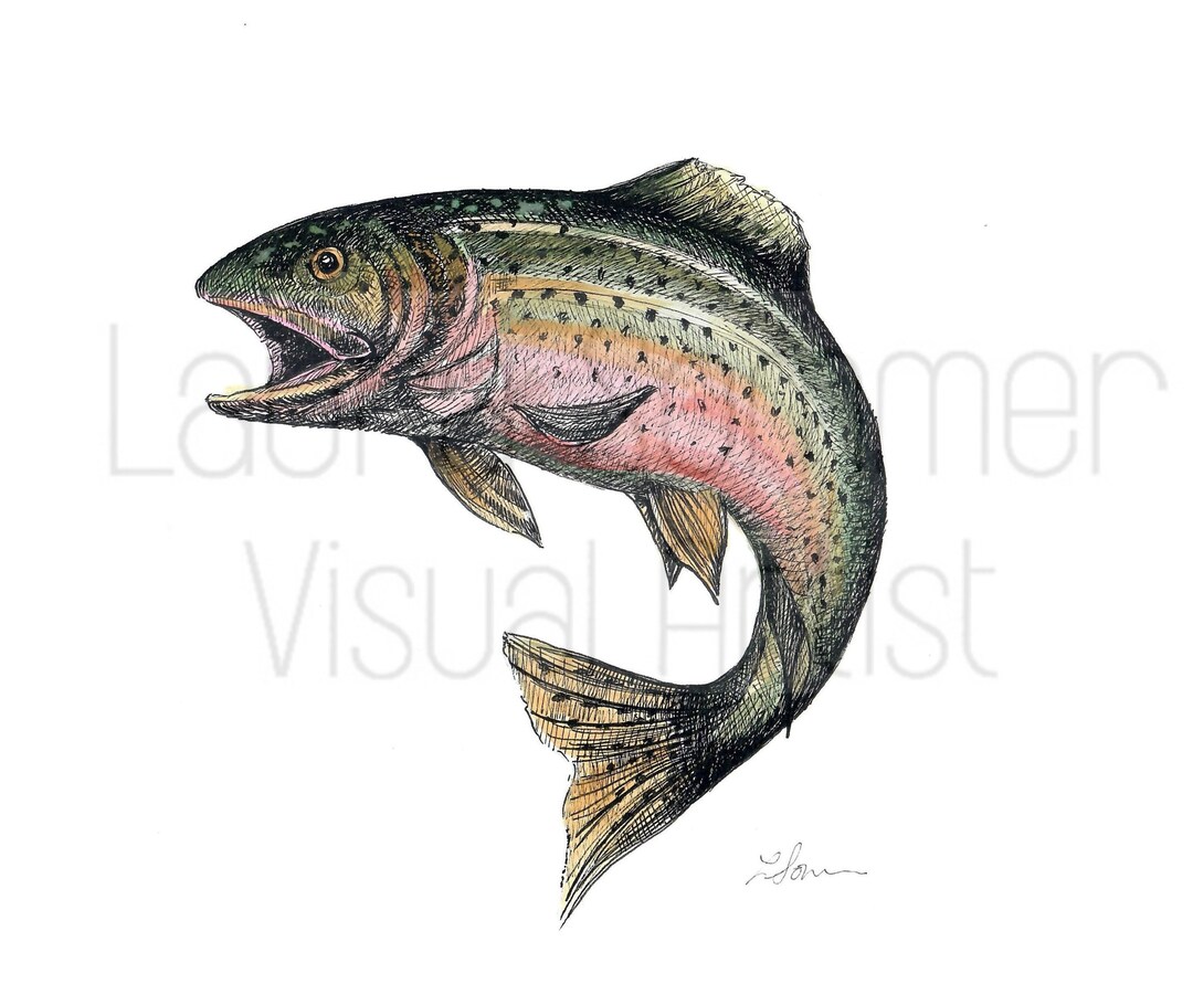 Rainbow Trout Illustration in Water-color and Black Pen - Digital ...