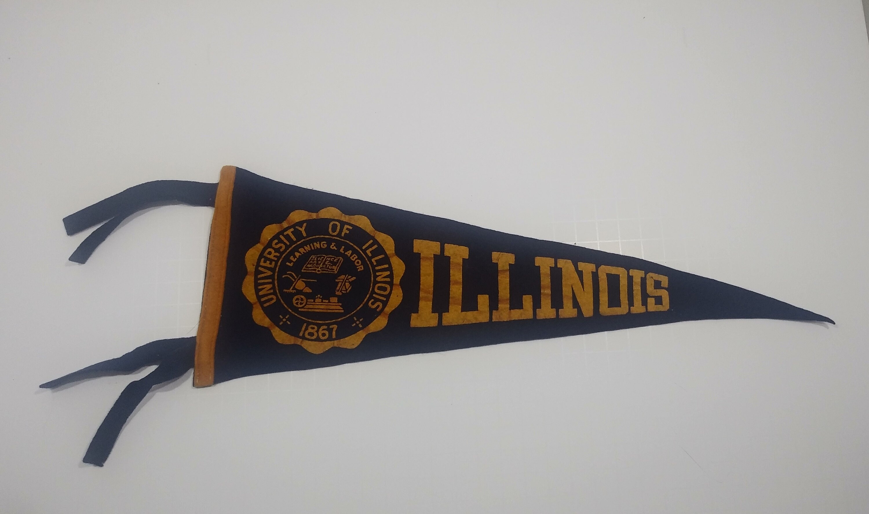 Illinois Pennant From the 1960's 14" Long - Etsy