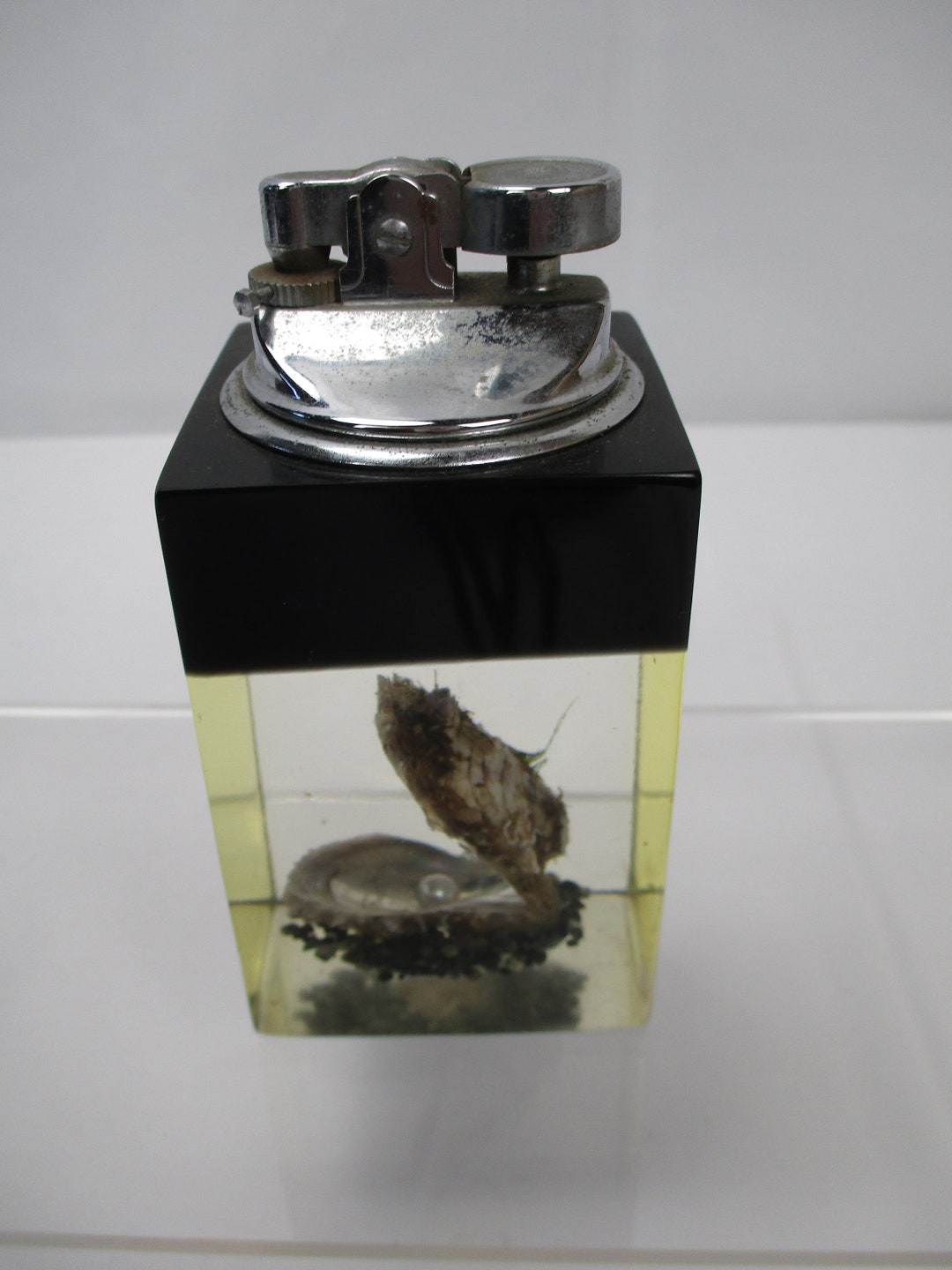 1960's Lucite Table Lighter With an Oyster and Pearl in the Center - Etsy
