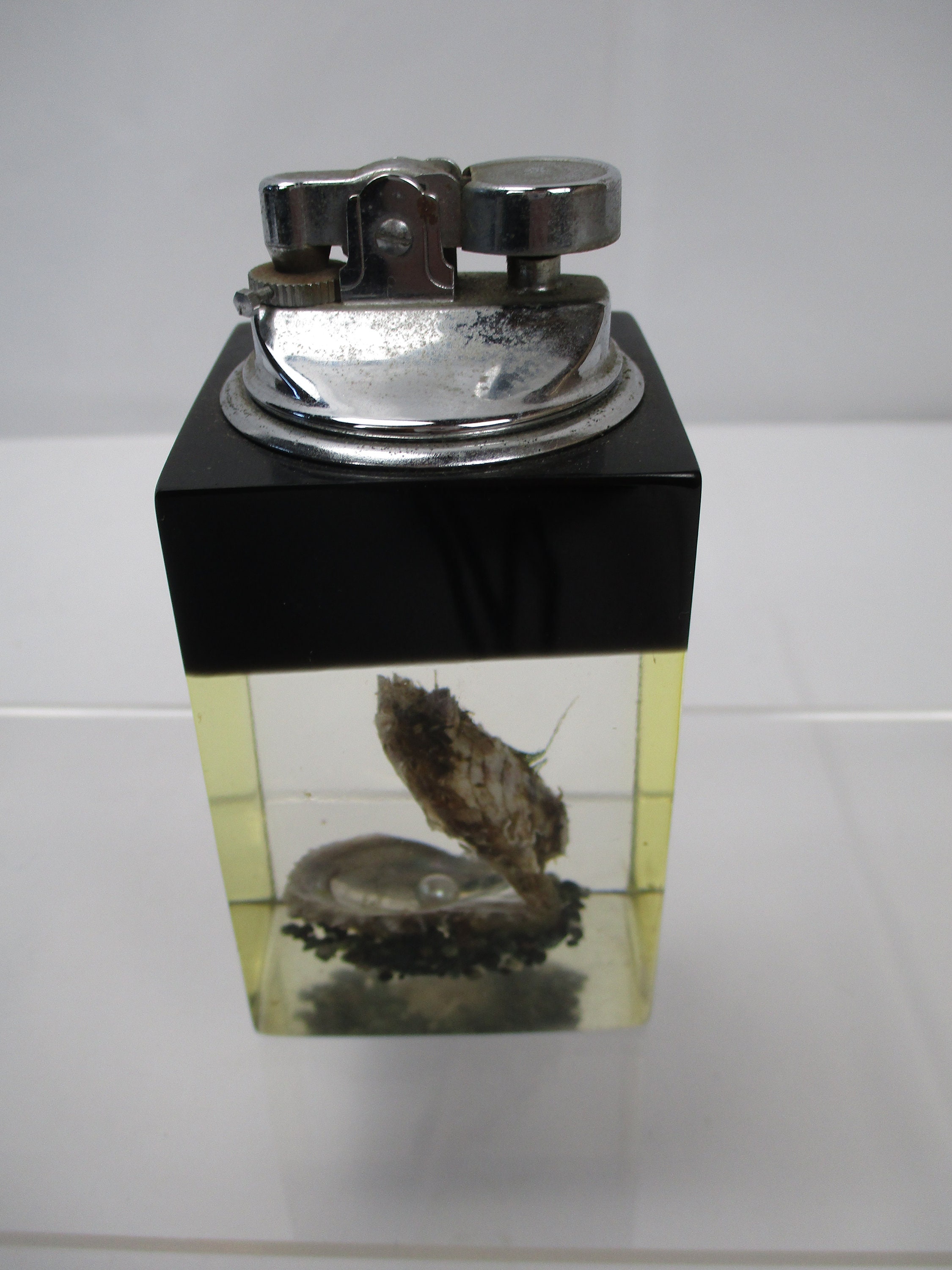 1960's Lucite Table Lighter With an Oyster and Pearl in the Center - Etsy