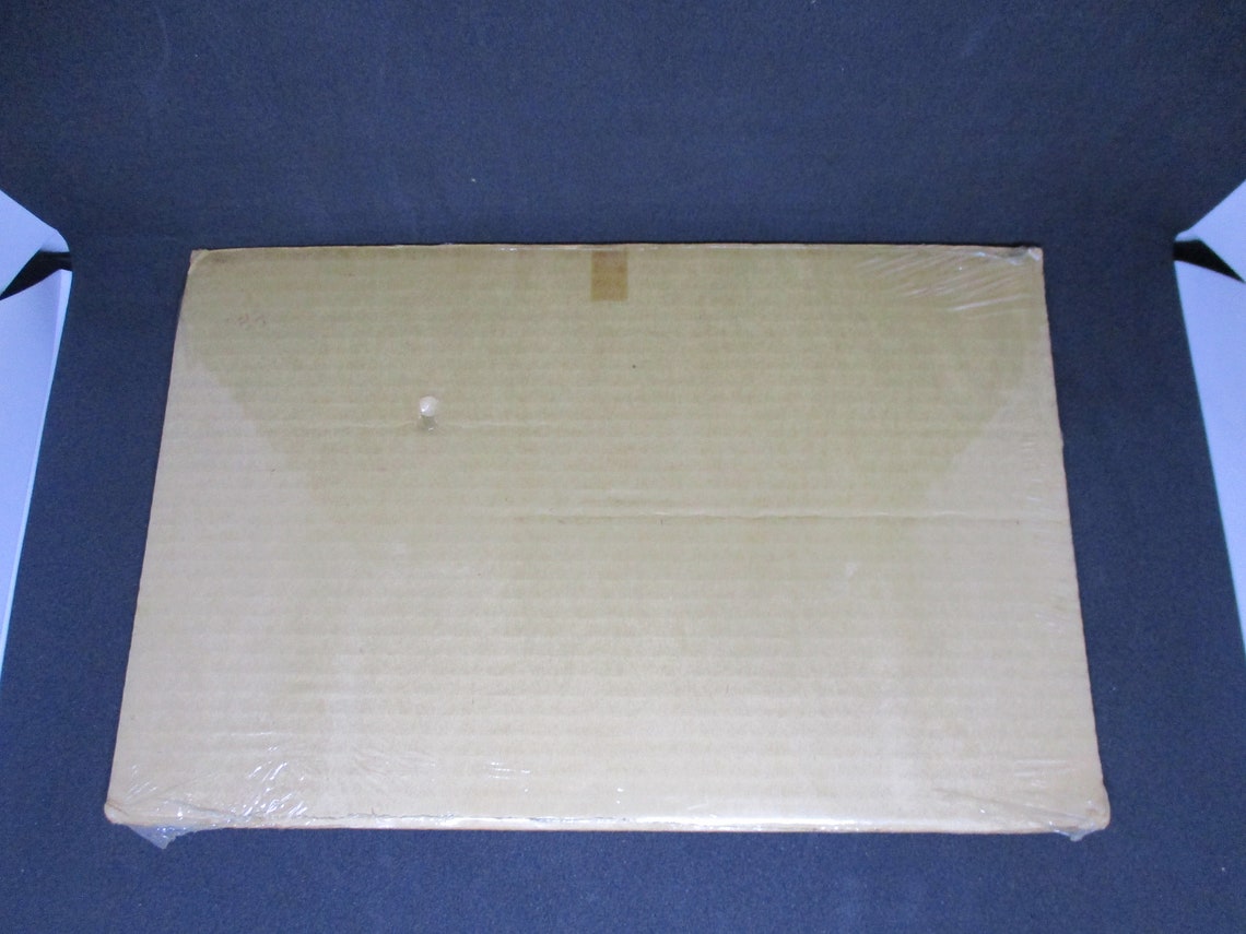 The Flintstones Silly Sun Pix - Etsy