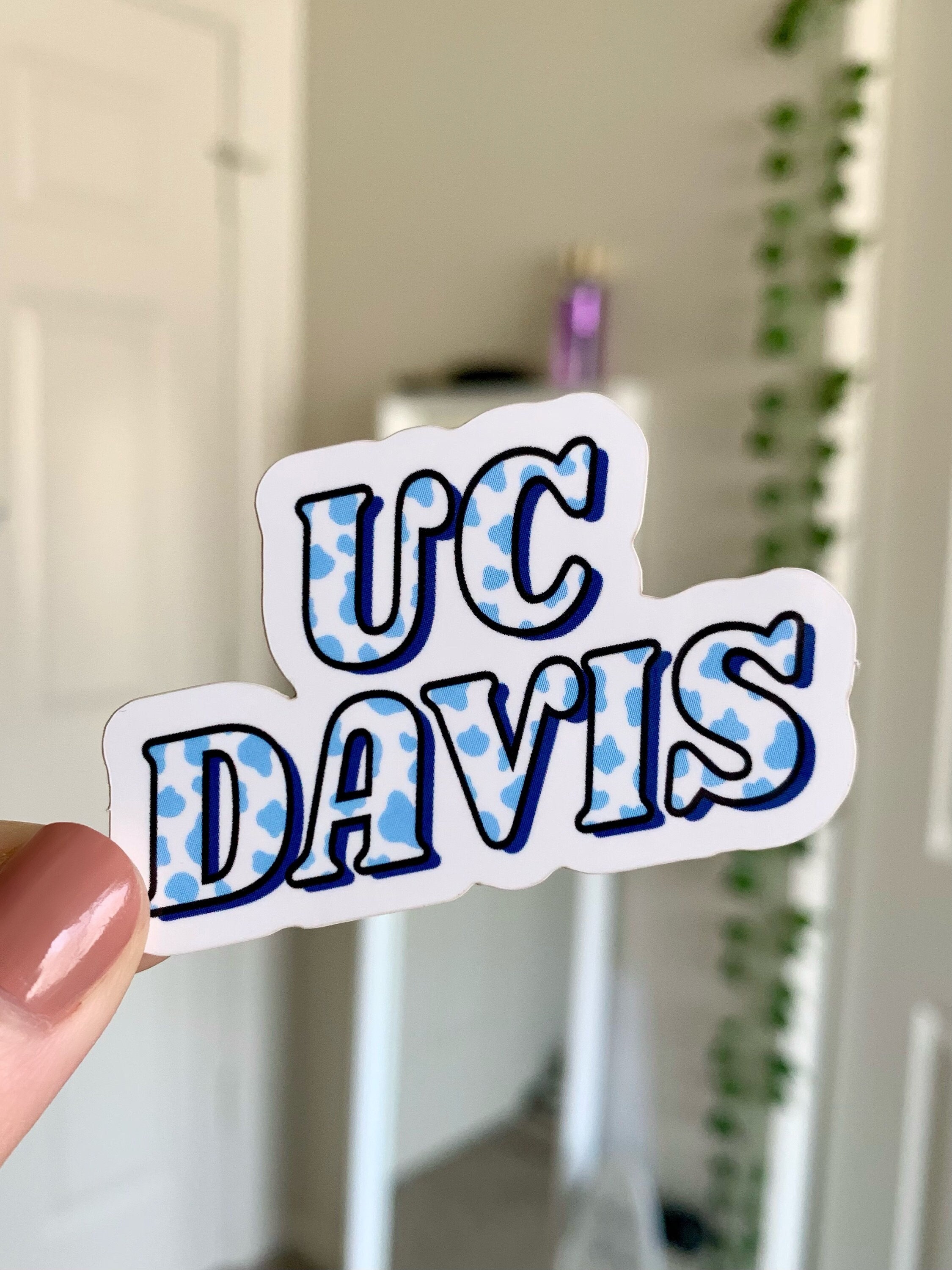 UC Davis Sticker Decal for Laptop, Water Bottle Hydroflask, Phone ...