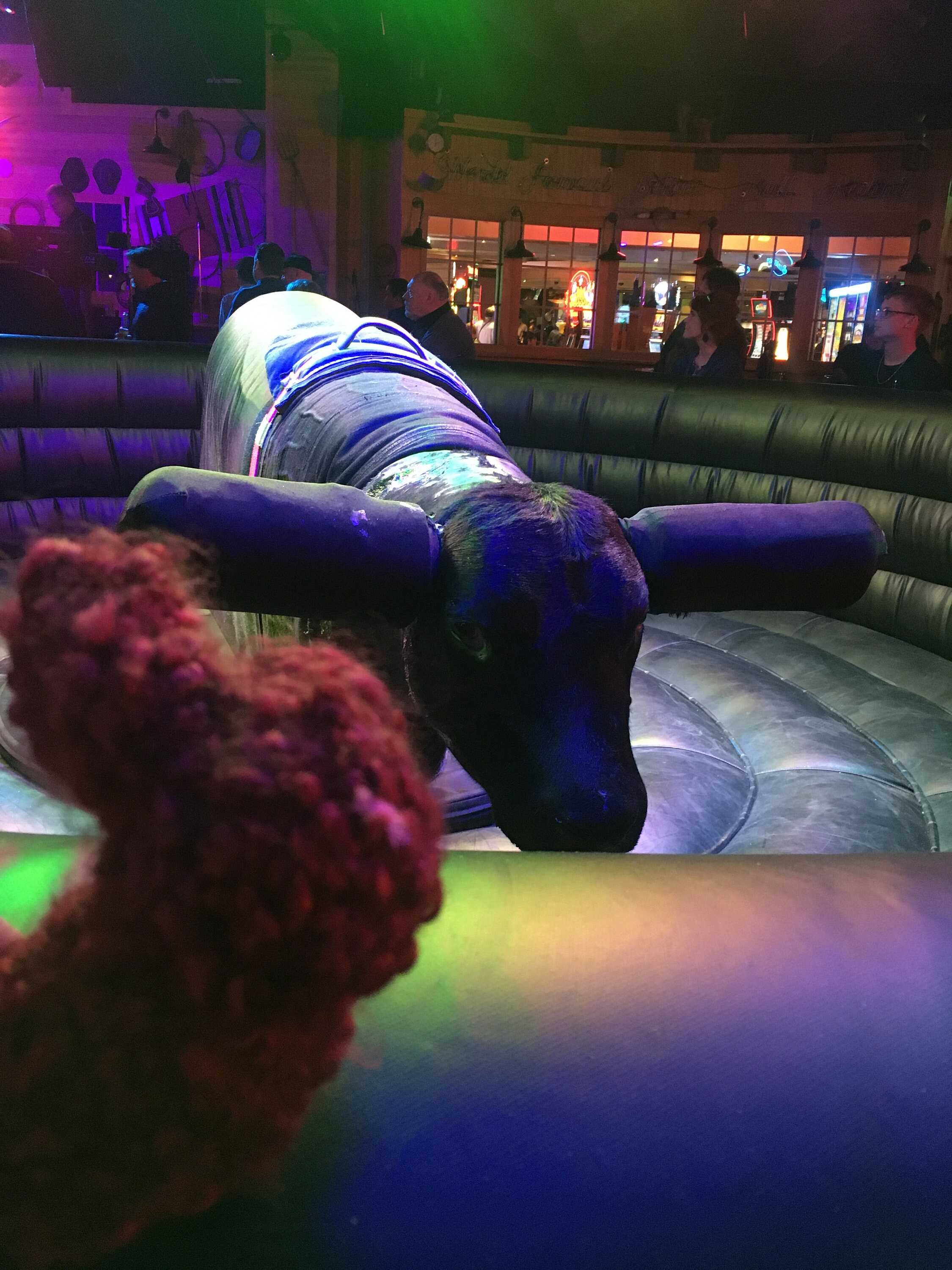 Rage Bunnies Adorable Defiant Bunnies to Console You - Etsy