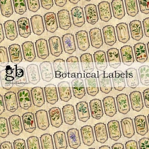 Botanical Labels, Flower & Herb Labels, Digital Labels 22-12 - Etsy