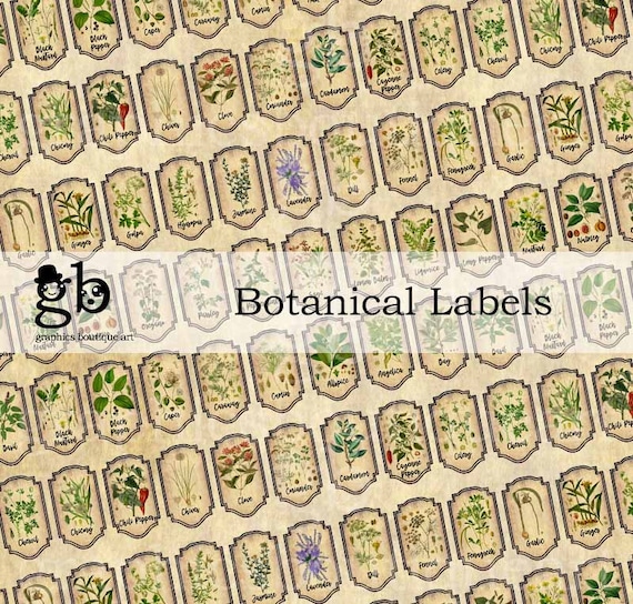 Botanical Labels Flower & Herb Labels Digital Labels 22-12 - Etsy