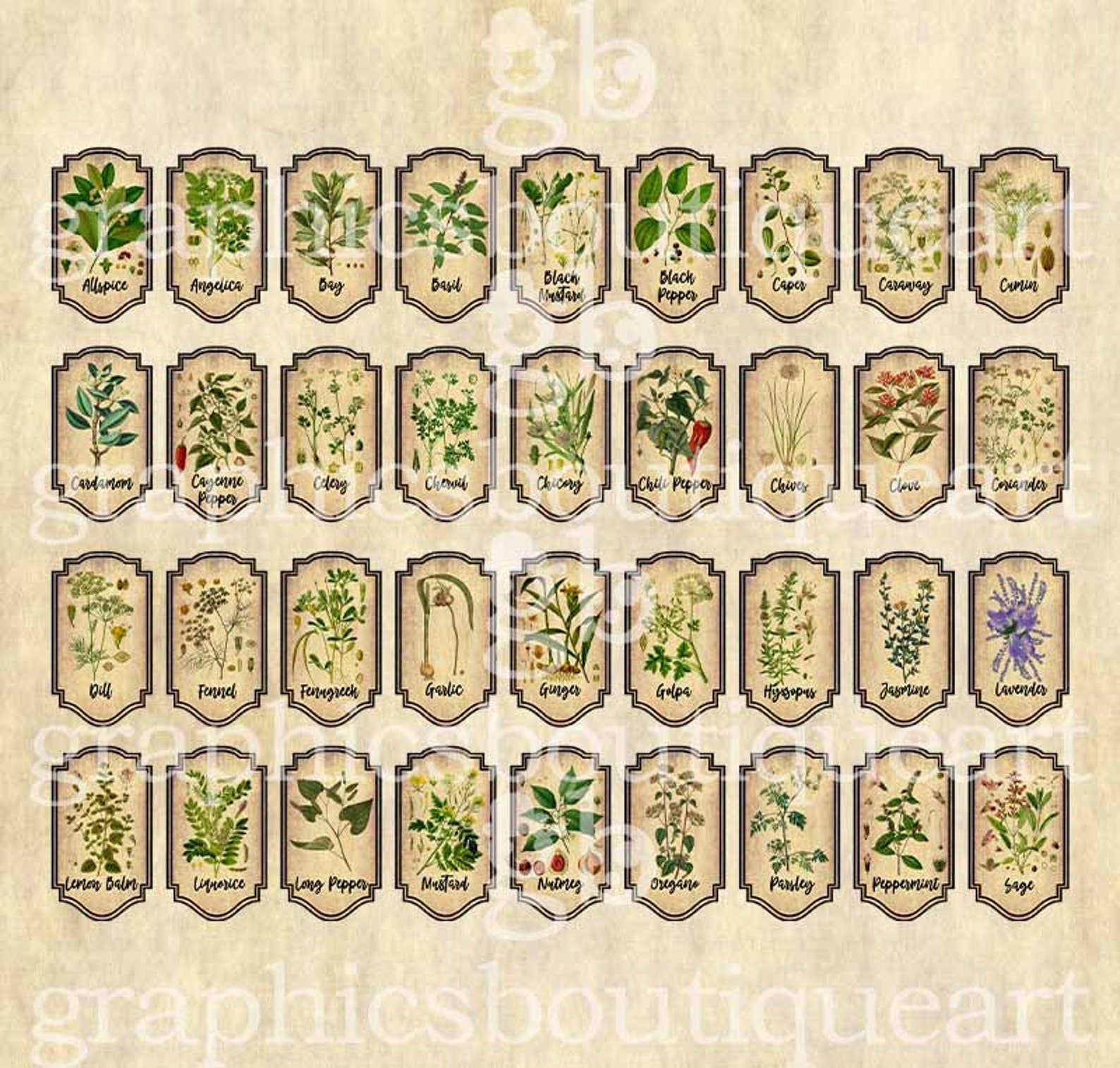 Botanical Labels, Flower & Herb Labels, Digital Labels 22-12 - Etsy