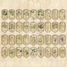 Botanical Labels, Flower & Herb Labels, Digital Labels 22-12 - Etsy