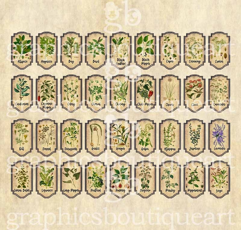 Botanical Labels, Flower & Herb Labels, Digital Labels 22-12 - Etsy