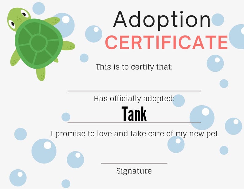 Turtle Adoption Certificate, Adoption Certificate, Certificate, Plushie ...