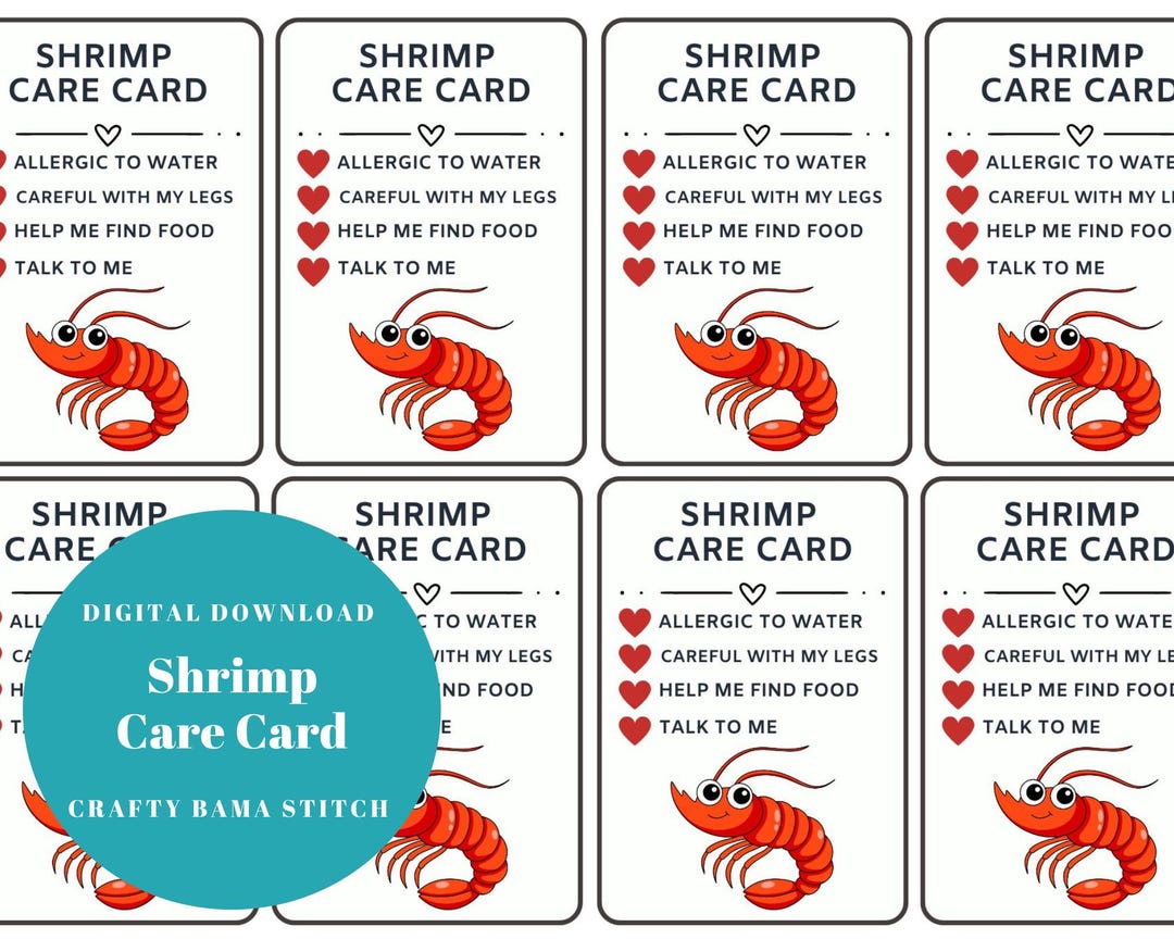 Shrimp Care Cards, Care Card, Shrimp Care, Plushie Care Card, Crochet ...