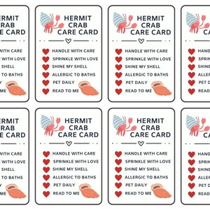 Hermit Crab Care Cards, Care Card, Plushie Care Card, Crochet Care Card ...