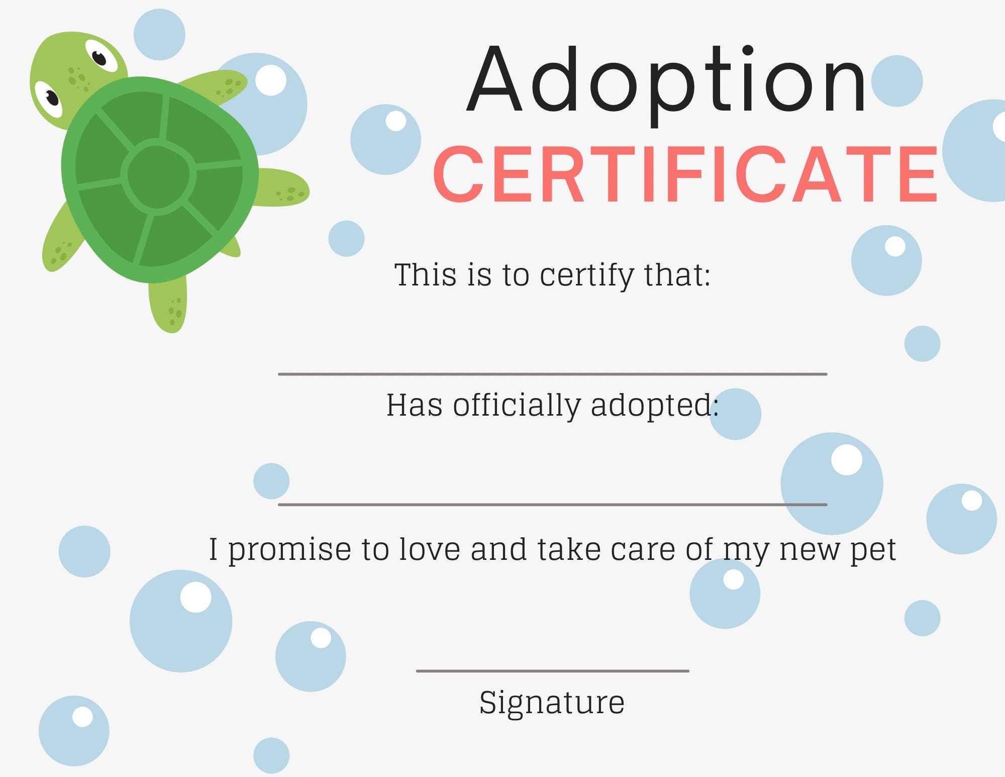 Turtle Adoption Certificate, Adoption Certificate, Certificate, Plushie ...