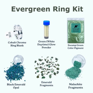 Ring Making Kit Evergreen, Ring Blanks, Emerald Ring, Inlay Ring, DIY ...