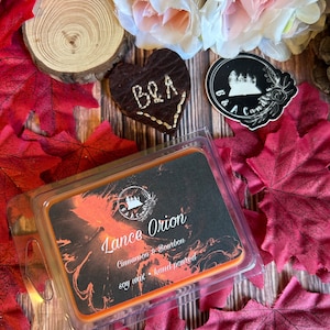 Lance Orion Officially Licensed Zodiac Academy - Etsy