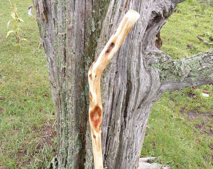 37 Inch Diamond Willow Walking Cane Anishinaabe/ojibwe Carving - Etsy
