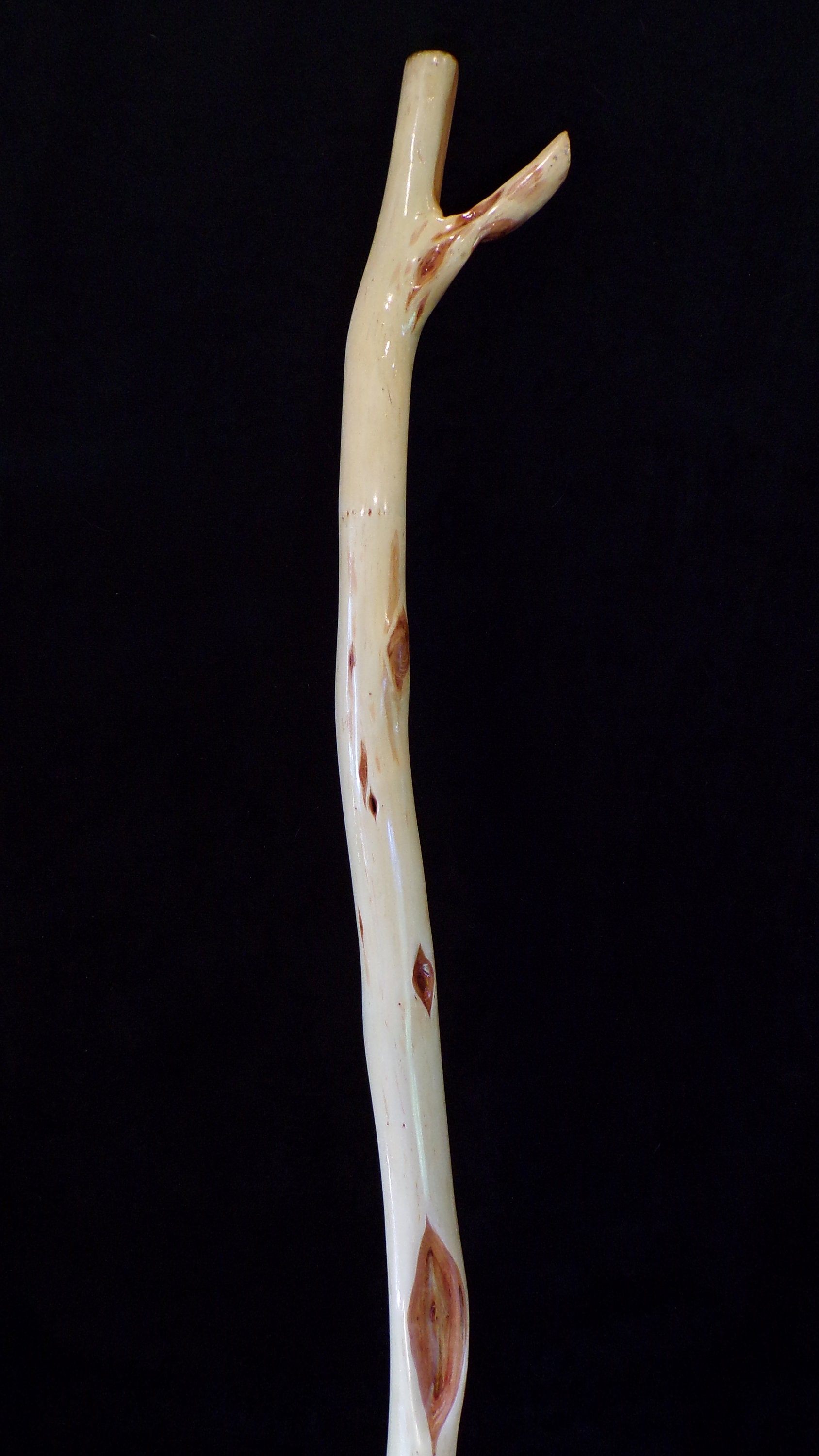 Beautiful 60 Inch Diamond Willow Staff Ojibwe/anishinaabe - Etsy